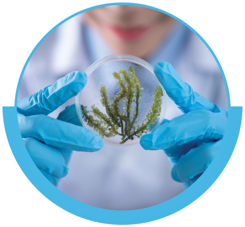 NIST Barometer - Aquatech Scientific